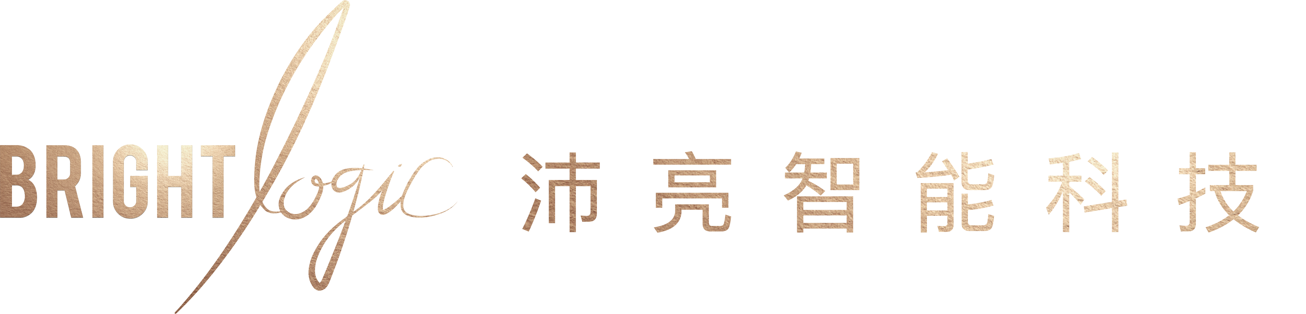 Bright Logic沛亮智能